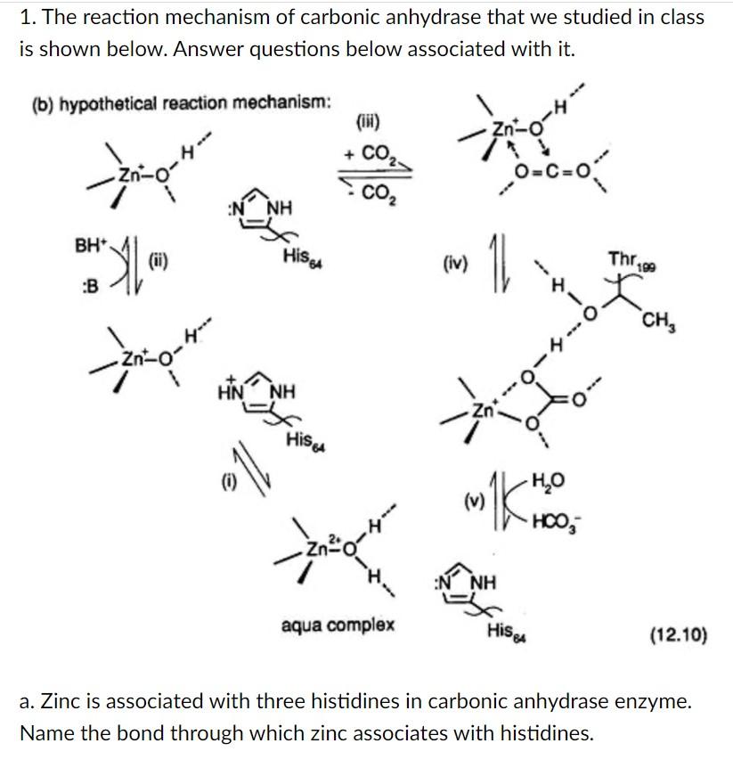 Solved 1. The reaction mechanism of carbonic anhydrase that | Chegg.com