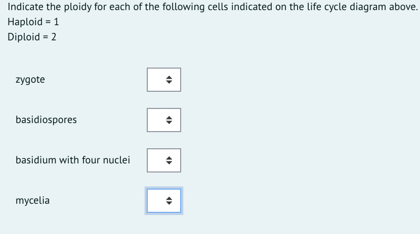 Solved Indicate the ploidy for each of the following cells | Chegg.com