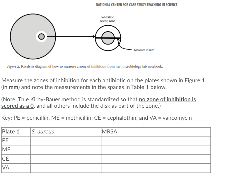 Solved Measure the zones of inhibition for each antibiotic | Chegg.com