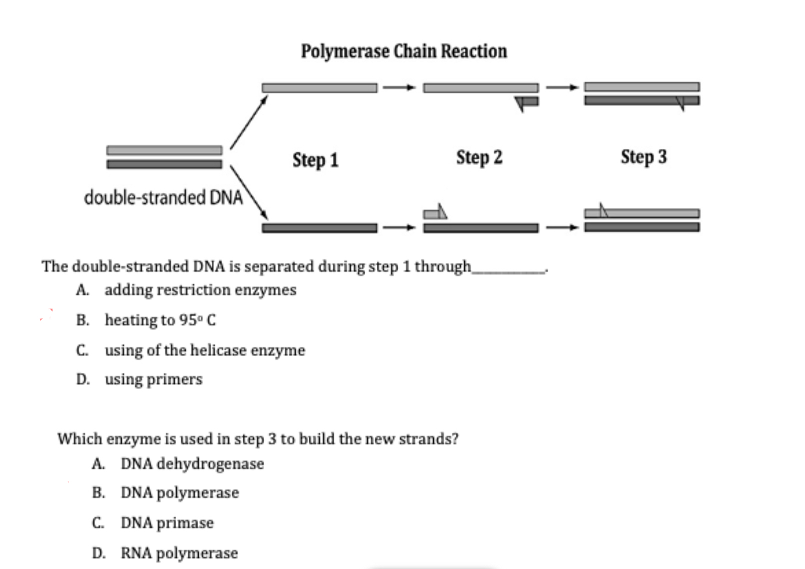 Solved Polymerase Chain ReactionThe double-stranded DNA is | Chegg.com