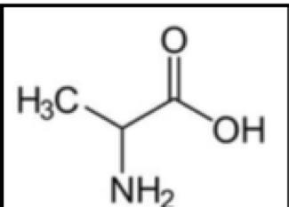 Solved Draw structures of alanine with the ionization states | Chegg.com