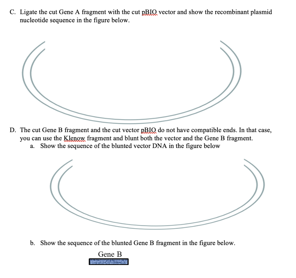 shown in Fig 1. When cut by enzymes shown in the map, | Chegg.com