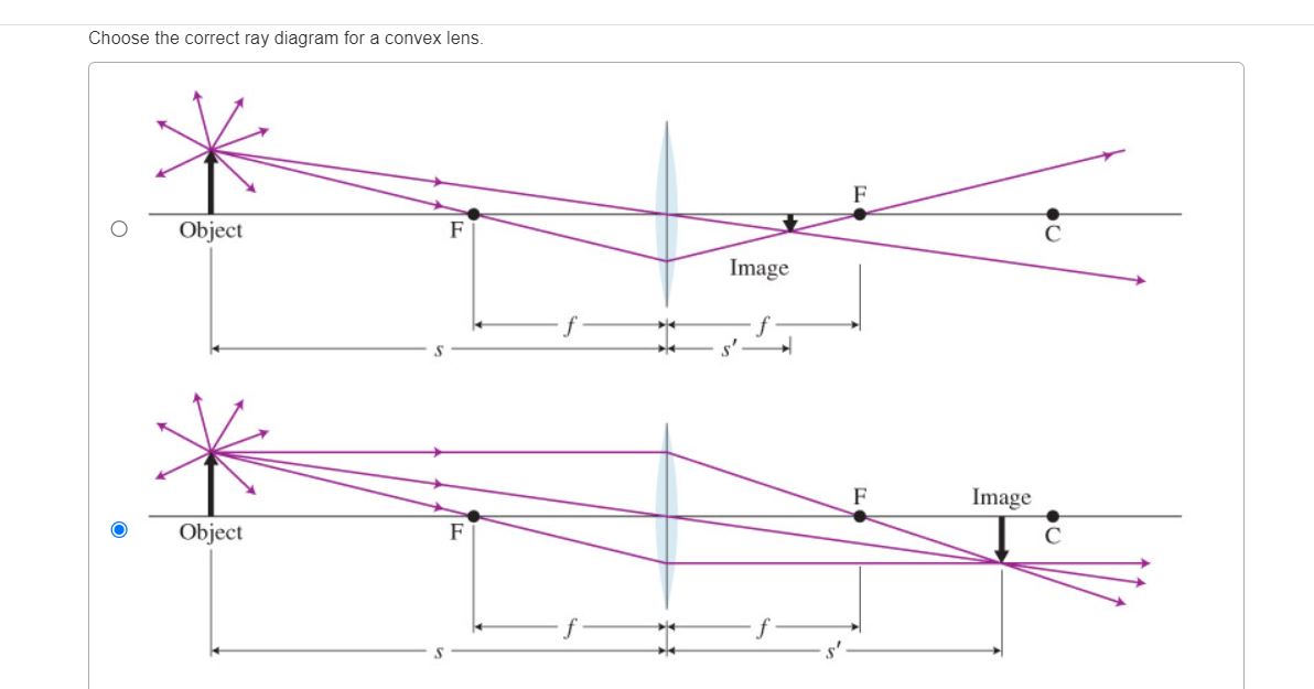 Solved Choose the correct ray diagram for a convex lens. | Chegg.com