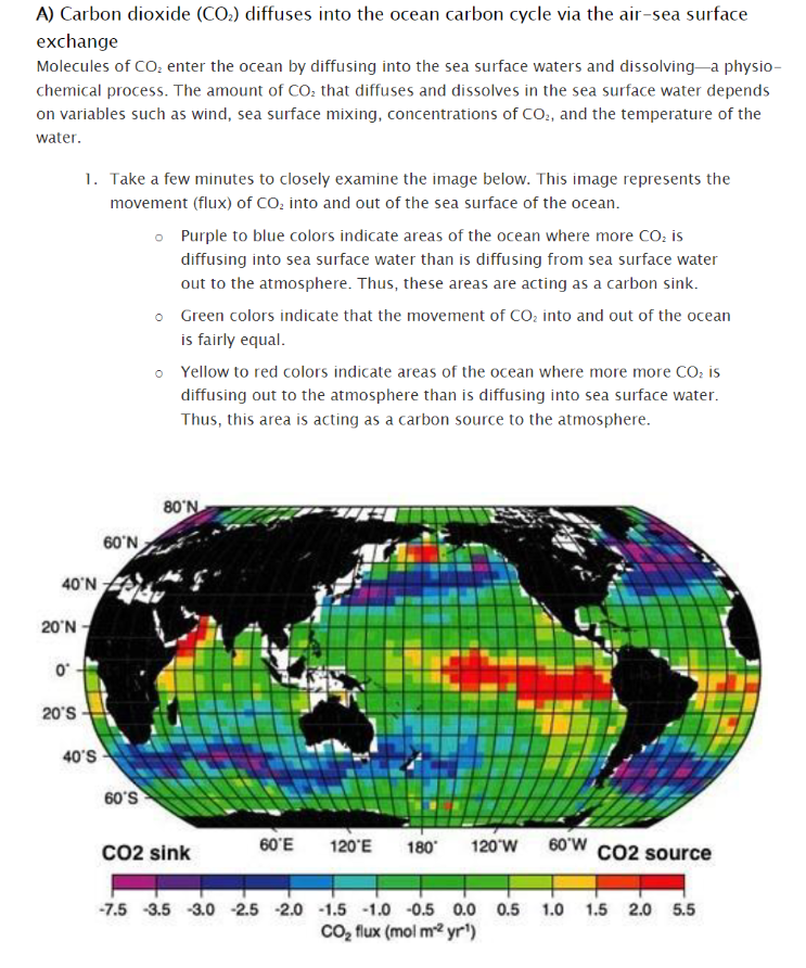 Solved A) Carbon dioxide (CO2) diffuses into the ocean | Chegg.com