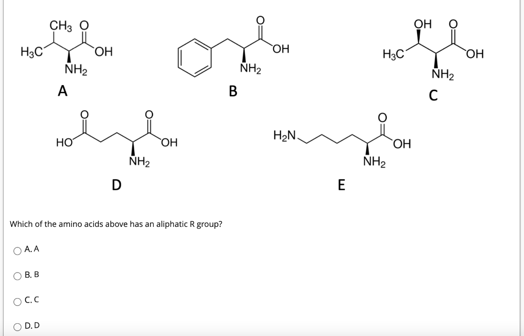 Solved CHз о ОН о H3C ОН НАС ОН ОН NH2 A NH2 NH2 С B H2N. НО | Chegg.com