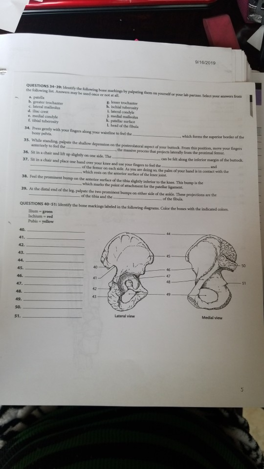Solved 9/16/2019 Lab Section Date EXERCISE 7 REVIEW SHEET | Chegg.com