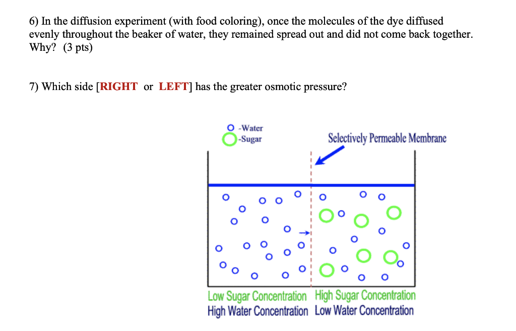 Solved 6) In the diffusion experiment (with food coloring), | Chegg.com