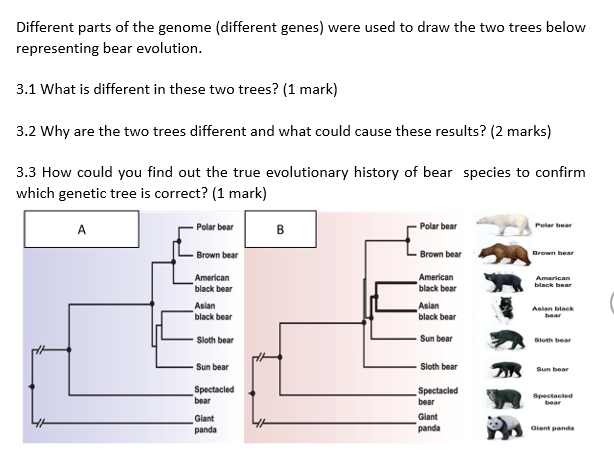 Solved Different parts of the genome (different genes) were | Chegg.com