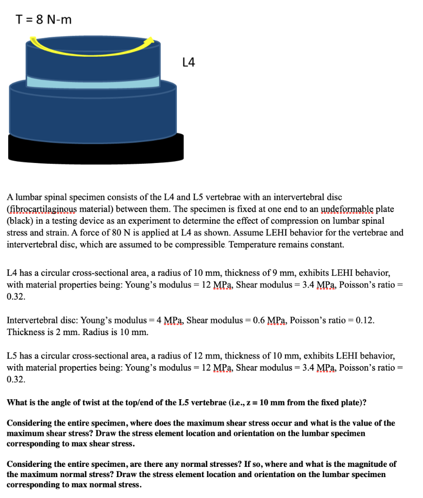 Solved A lumbar spinal specimen consists of the L4 and L5 | Chegg.com