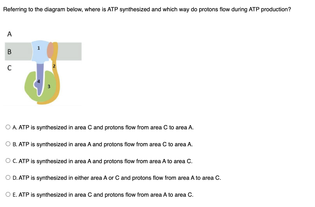 Solved Referring to the diagram below, where is ATP | Chegg.com