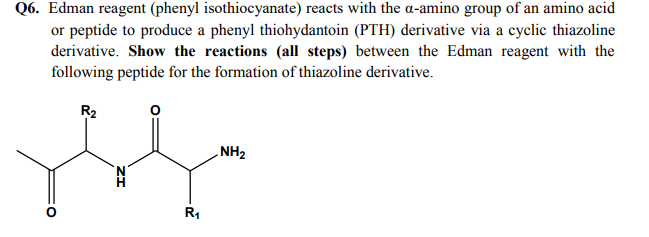 Solved Q6. Edman reagent (phenyl isothiocyanate) reacts with | Chegg.com