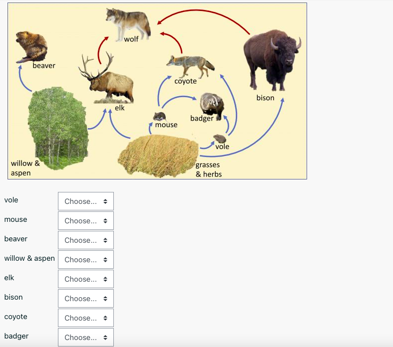 Simple Ecosystem Diagram