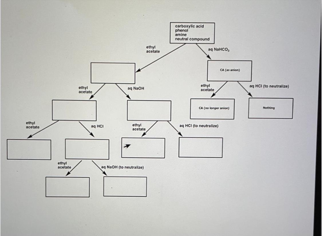 Solved Fill in the general extraction scheme. Boxes | Chegg.com