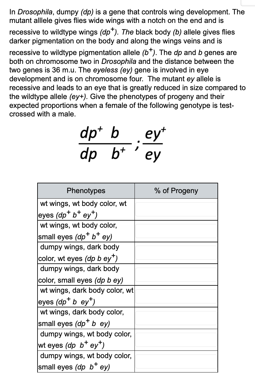 Solved In Drosophila, dumpy (dp) is a gene that controls | Chegg.com