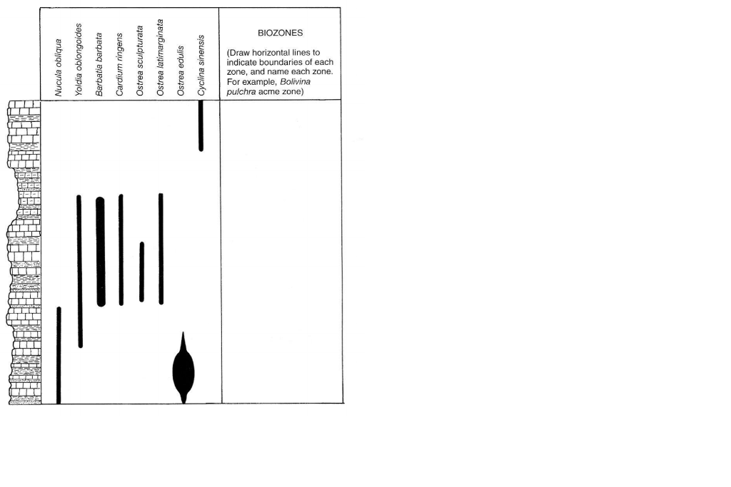 Solved 1. Identify, name, and draw in the boundaries of a | Chegg.com