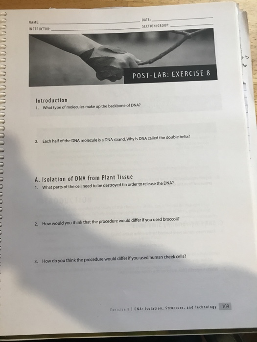 Solved NAME INSTRUCTOR: DATE SECTION/GROUP POST-LAB: | Chegg.com