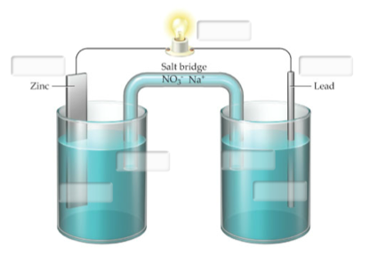 Solved The following picture of a galvanic cell has lead and | Chegg.com