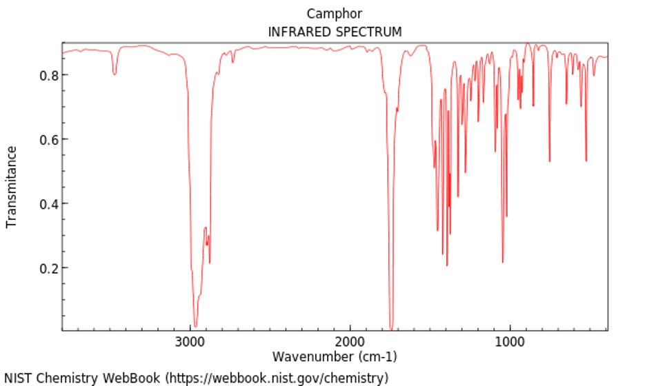 Solved Please identify all functional groups of camphor in | Chegg.com