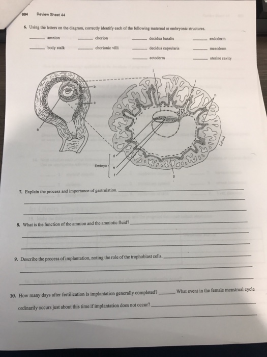 Solved Using the letters on the diagram, correctly identify | Chegg.com