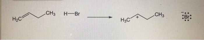 Solved Electrophilic addition of HBr to alkenes yields a | Chegg.com
