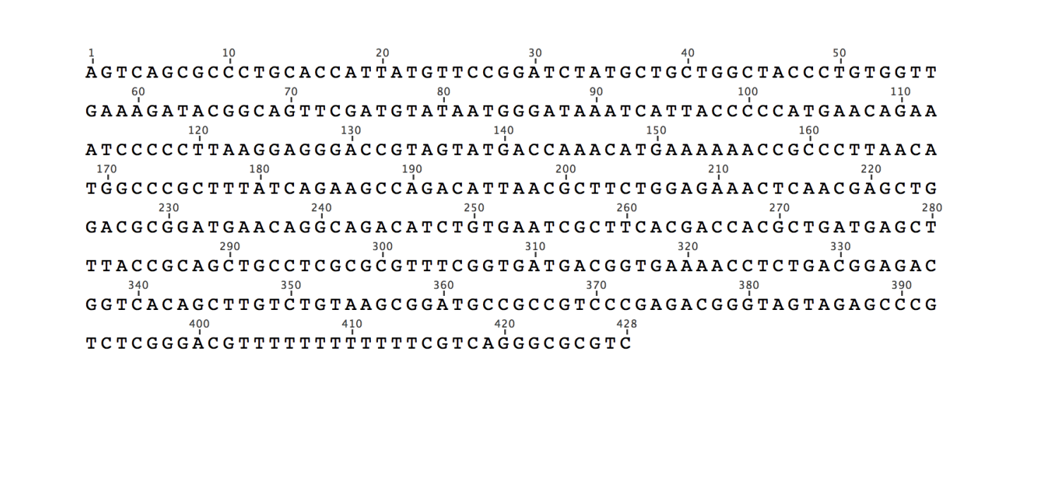 Solved What is the location of the start codon (initiation | Chegg.com