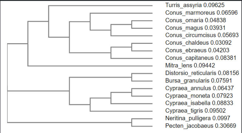 Identify branch points/nodes within this phylogenetic | Chegg.com