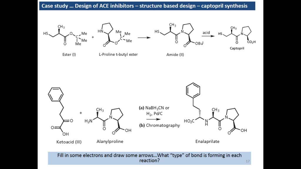 Solved Case study... Design of ACE inhibitors-structure | Chegg.com