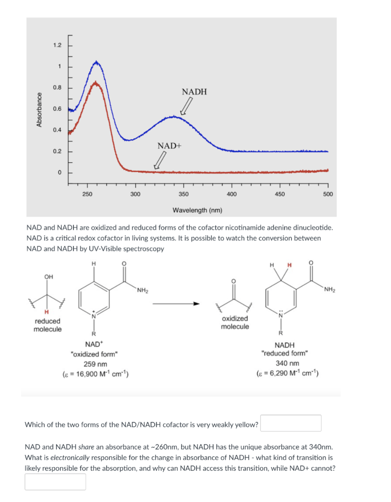 Solved 1.2 1 0.8 NADH Absorbance 0.6 0.4 NAD+ 0.2 I 0 250 | Chegg.com