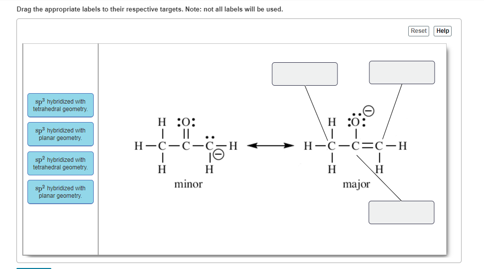 Solved Drag the appropriate labels to their respective | Chegg.com