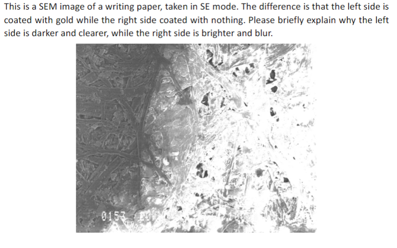 Solved This is a SEM image of a writing paper, taken in SE | Chegg.com