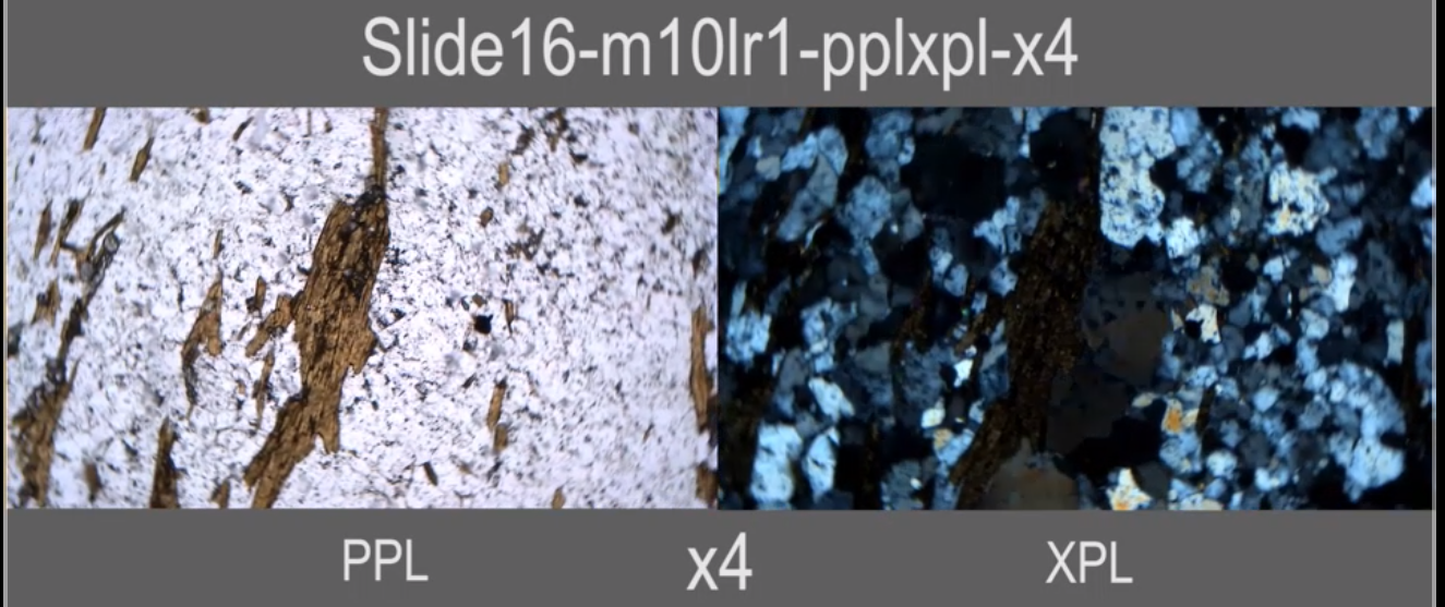 Solved Metamorphic Facies and Protolith Determine the | Chegg.com