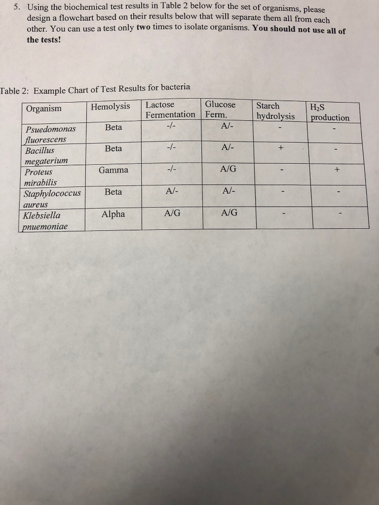 Solved Using the biochemical test results in Table 2 below | Chegg.com