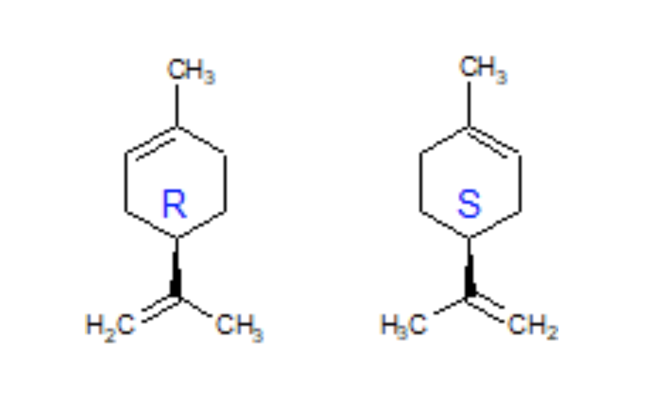 Solved CH3 CH R S HC CH H.C CH2 | Chegg.com