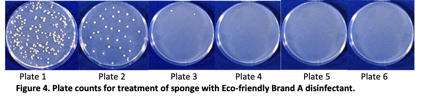 Solved Figure 3. Plate counts for control sponge.Figure 1. | Chegg.com