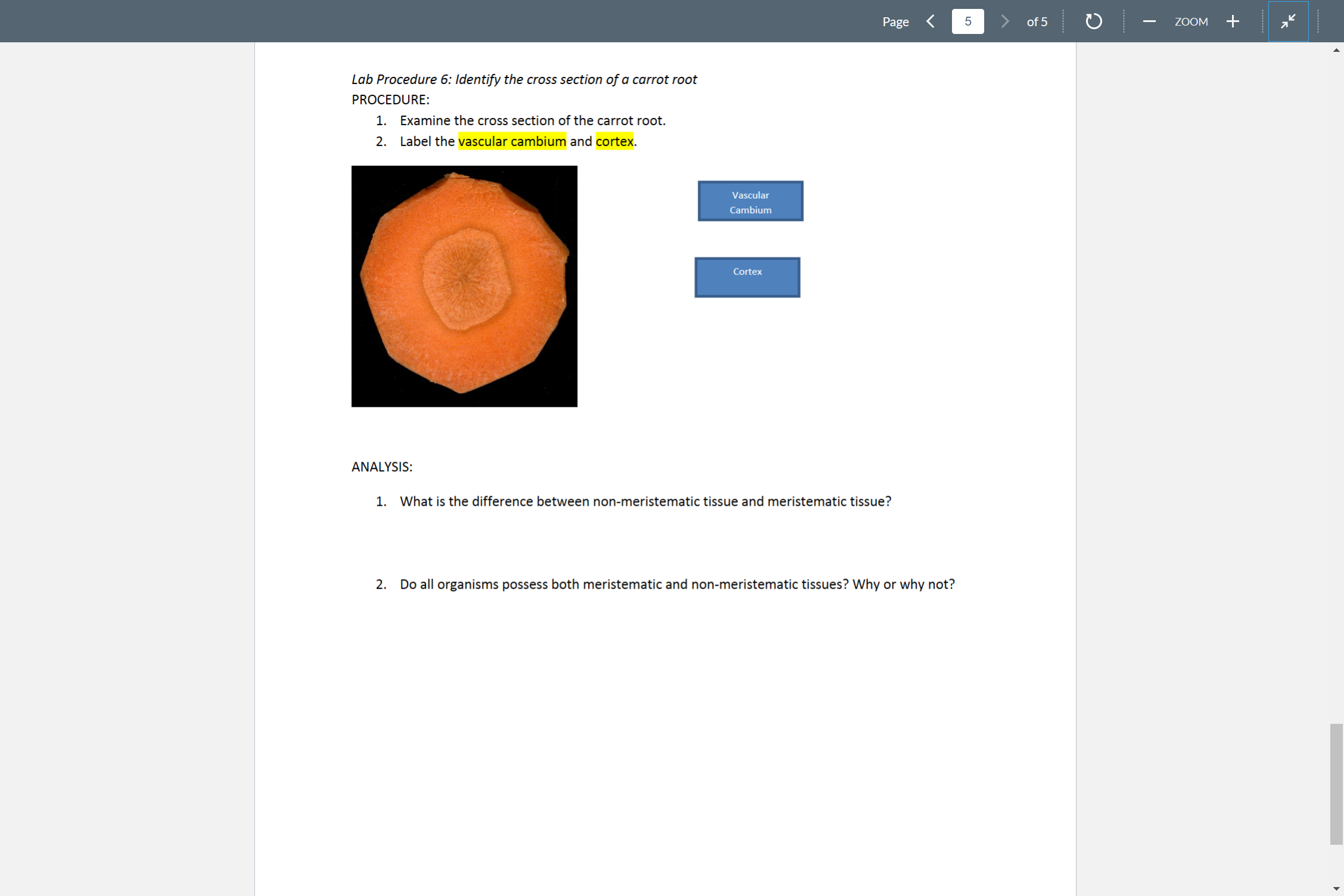 Solved Lab Procedure 6: Identify the cross section of a | Chegg.com