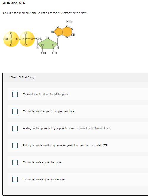 Solved ADP and ATP Analyze this molecule and select all of | Chegg.com