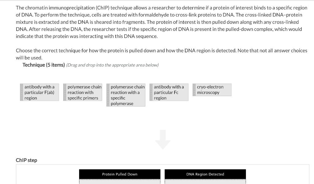 Solved The chromatin immunoprecipitation (ChIP) technique | Chegg.com