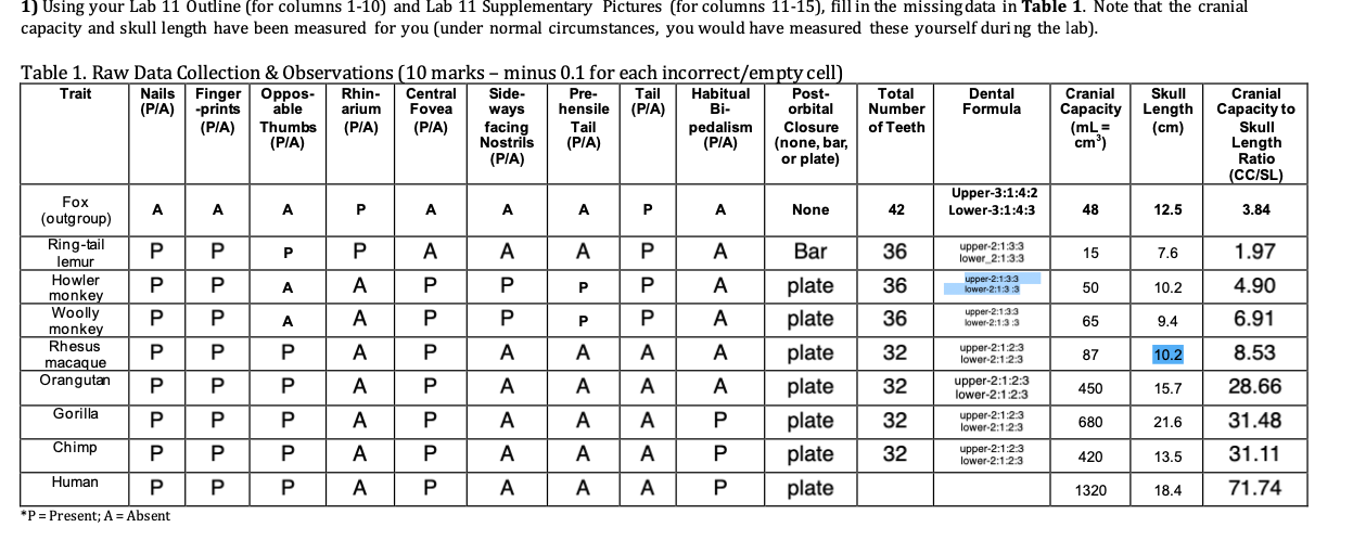 Solved 1) Using your Lab 11 Outline (for columns 1-10) and | Chegg.com