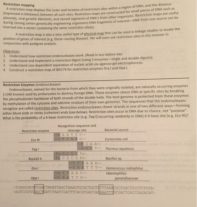 Solved Restriction mapping map displays the order and | Chegg.com