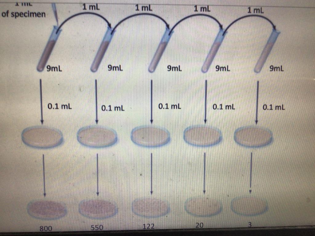 Solved I MIL of specimen 9mL 1 mL 9mL 9mL A 0.1 mL 0.1 mL | Chegg.com