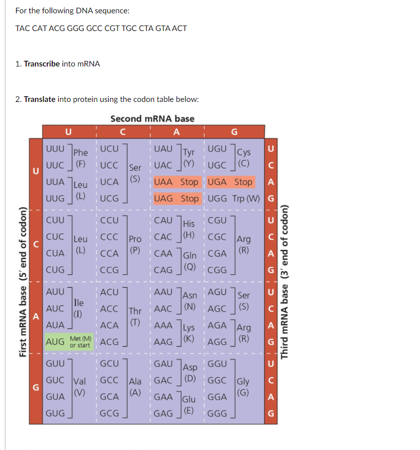 Solved For the following DNA sequence: TAC CAT ACG GGG GCC | Chegg.com