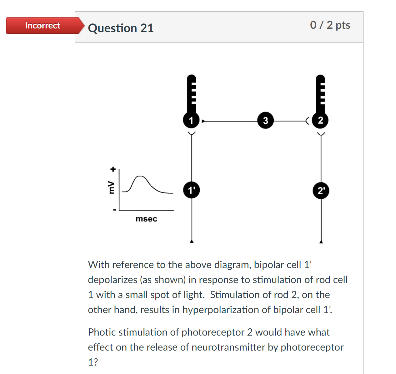 Solved OPTIONS: decrease, increase, no change okay so this | Chegg.com