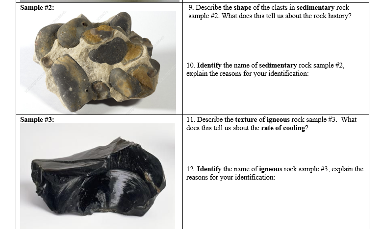 Solved Sample #2: 9. Describe the shape of the clasts in | Chegg.com