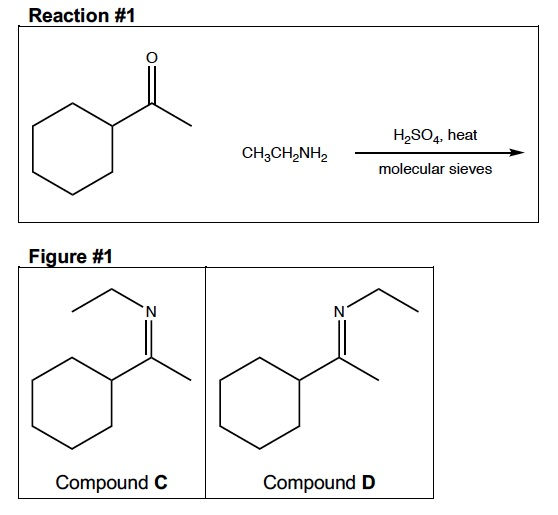 Solved Which compound in Figure #1 is the major organic | Chegg.com