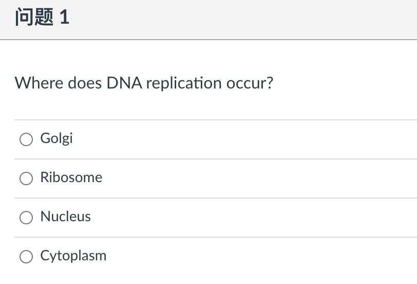 Solved 问题1 Where does DNA replication occur? Golgi Ribosome | Chegg.com