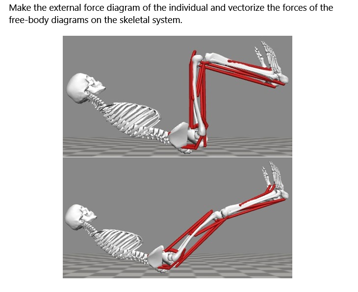 Solved Make the external force diagram of the individual and | Chegg.com