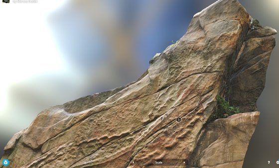 Solved This is a type of trace fossil. It is identified as a | Chegg.com