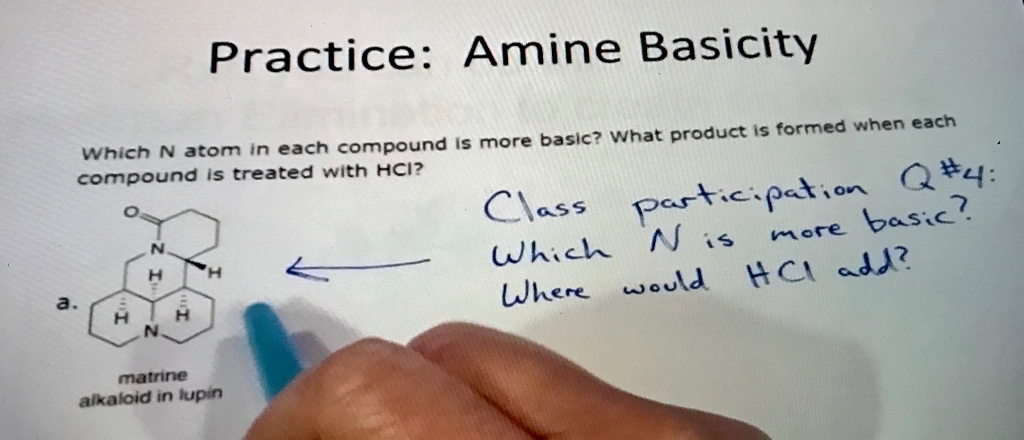 Solved Practice: Amine Basicity Which N atom in each | Chegg.com