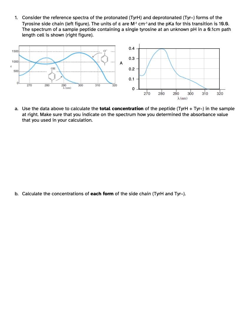 Solved 1. Consider the reference spectra of the protonated | Chegg.com