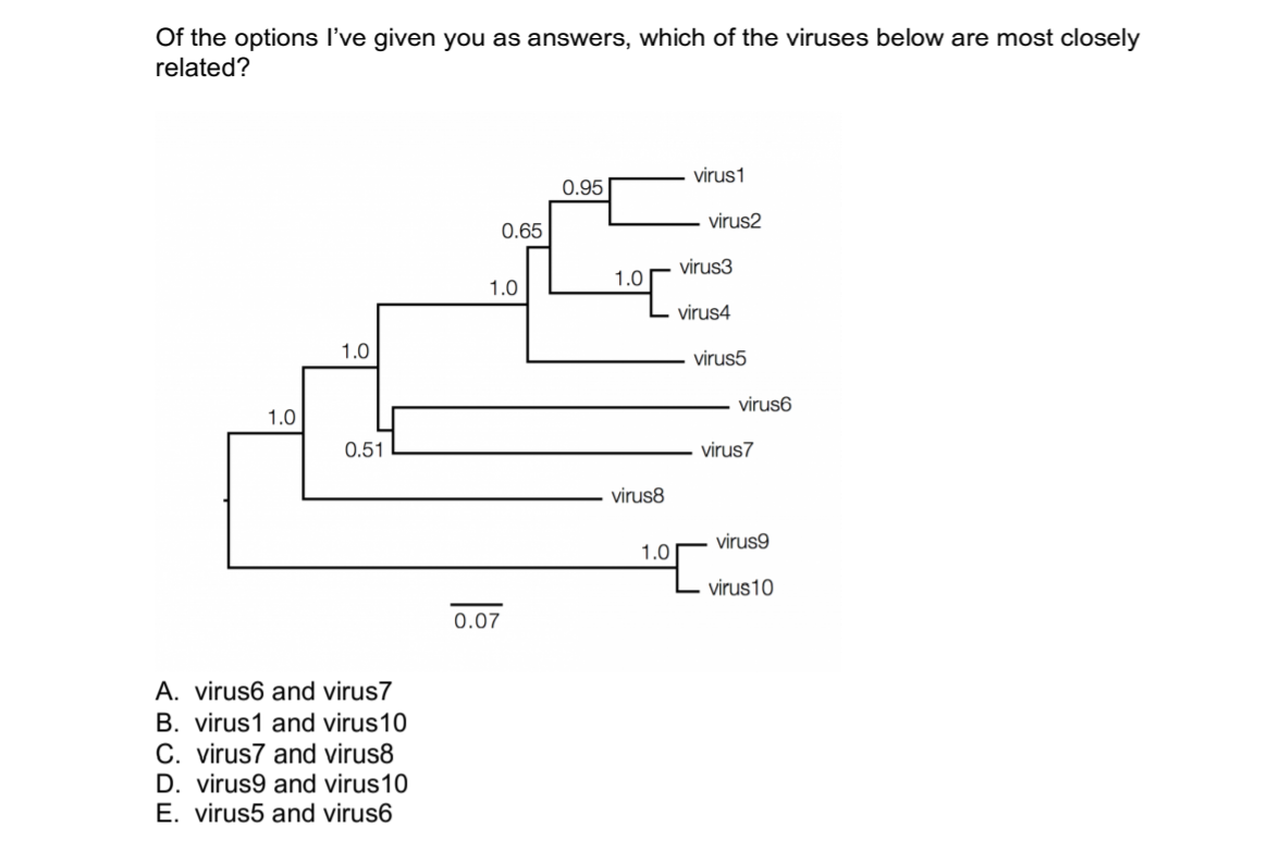 Solved - Dermoptera humans humans (genus Homo) Hominini | Chegg.com